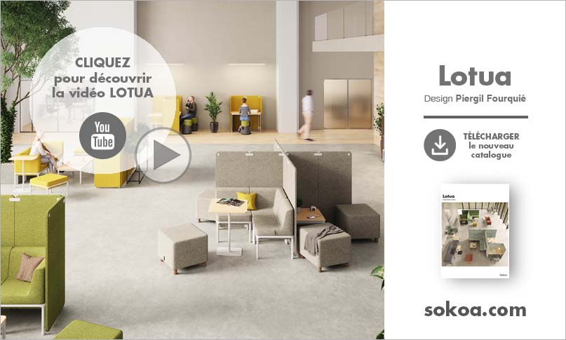 New Lotua catalog - Sokoa